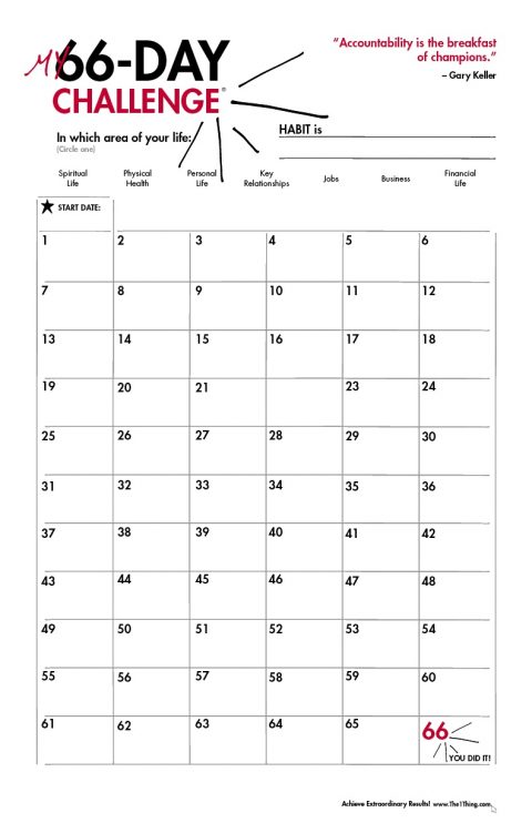 66 Days to a Bigger, Better Business - The ONE Thing